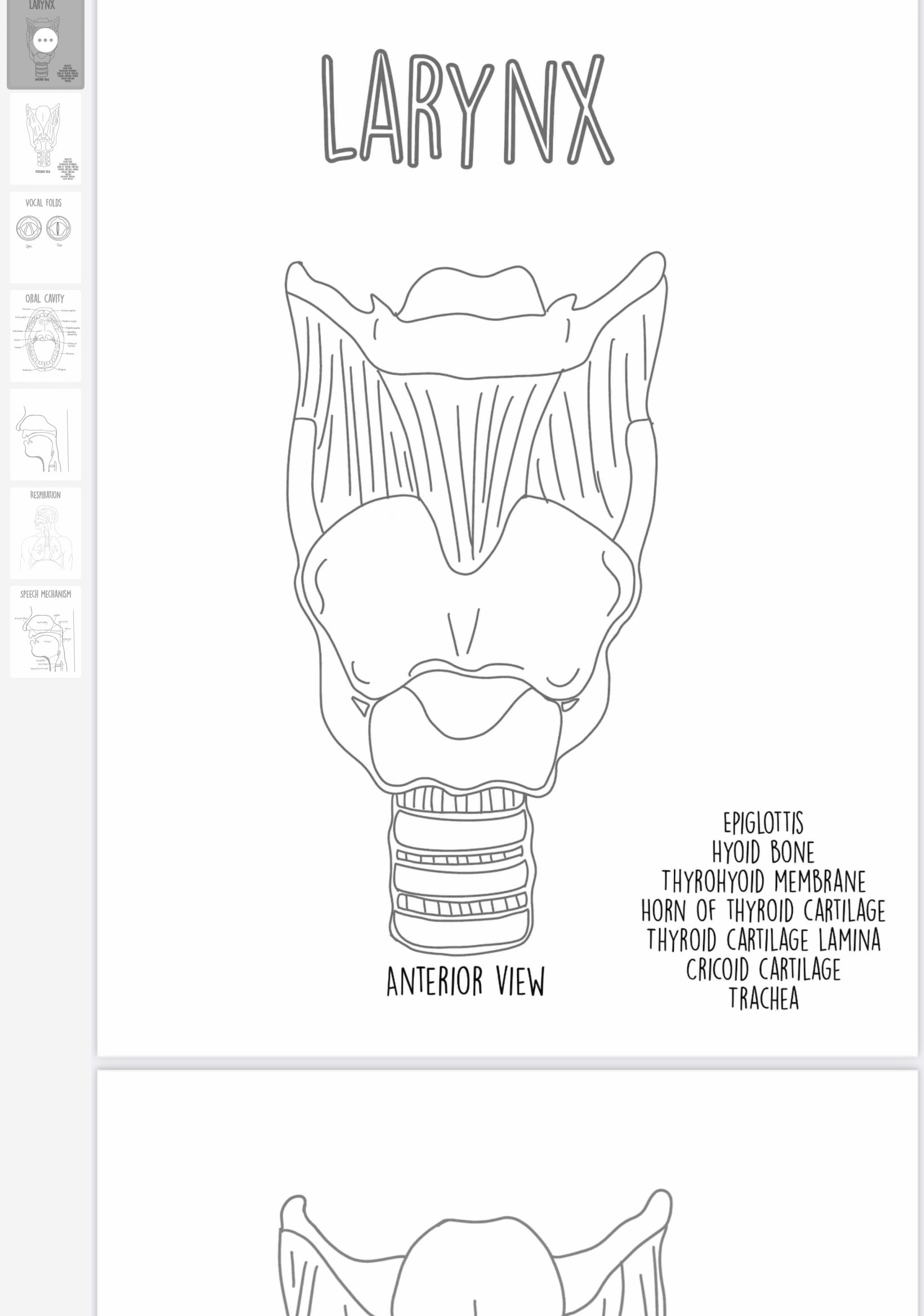 Speech Mechanisms coloring sheets /Digital Prints – Tania’Sweet Finds